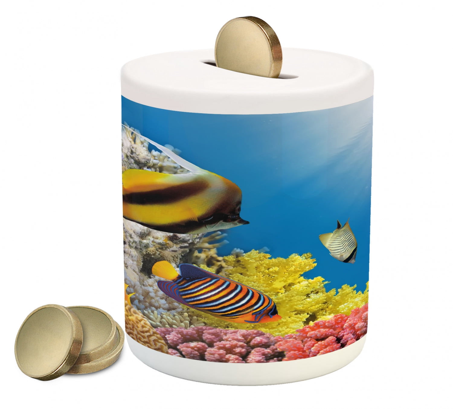 Ocean Piggy Bank, Coral Colony on a Reef Top in Red Sea Egypt Exotic ...