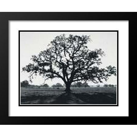 FrameToWall - Ansel Adams Framed and Double Matted Art Print 25x29 "Oak ...