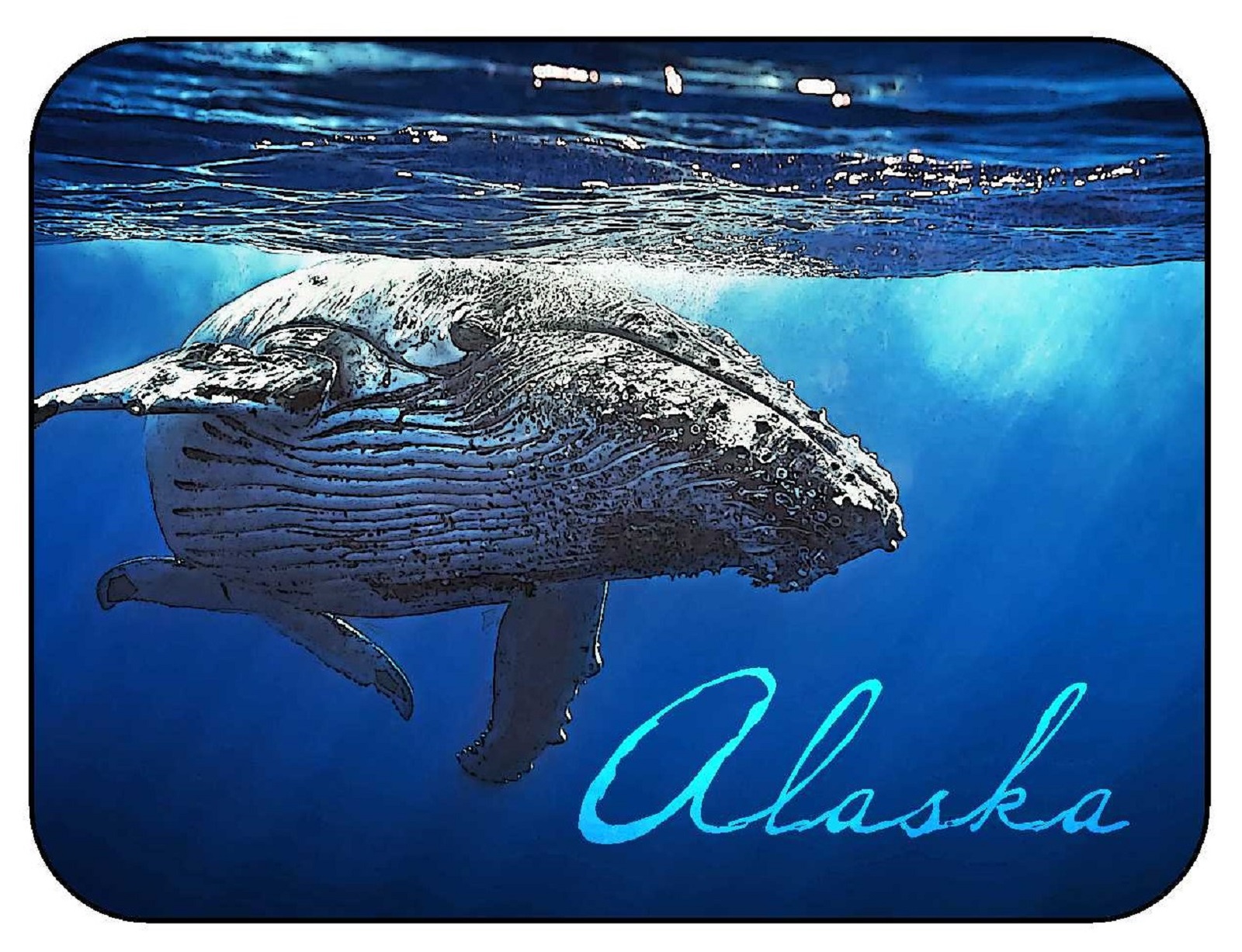 Alaska Fridge Magnet With Swimming Humpback Whale - Walmart.com