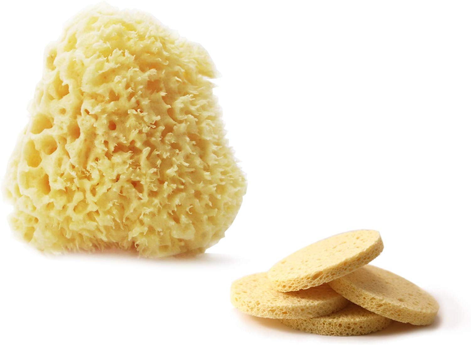 MartiniSPA Italian Made Natural Bath & Spa Sea Sponge, Collected from ...