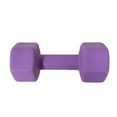 Rainforest Neoprene Hex Dumbbells Set, 20LB Pair, Durable Cast-Iron ...
