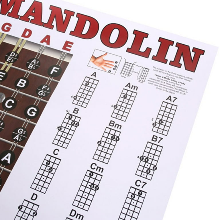 Mandolin Chords B7