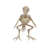 Official Crazybonez Realistic Faux Parrot Skeleton Halloween Decoration ...
