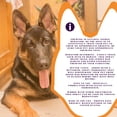 PiccardNaturePets Stop Now! No Chewing Pet Training Spray 8 oz ...