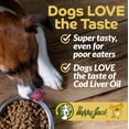 Happy Jack Cod Liver Fish Oil for Dogs Skin and Coat Supplement, Brain ...