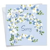 1 Funny Sorry Card with Envelope - Terrible Mistake Sorry C7220SRG ...