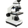 Celestron Labs CM800 Compound Microscope - Walmart.com