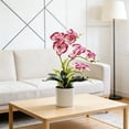 Artificial Phalaenopsis Silk Flower - Realistic Desktop Decoration ...