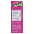 Schultz Indoor Blooming Houseplant Fertilizer, African Violet Plus ...