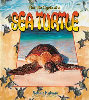 Pre-Owned Sea Turtle (Hardcover) 0778706524 9780778706526 - Walmart.com