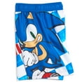 SEGA Sonic The Hedgehog UPF 50+ Swim Trunks Bathing Suit Toddler to Big ...