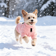 AOMRCOL 2026 New Dog Sweater Leash Attachment for Convenience Dog ...