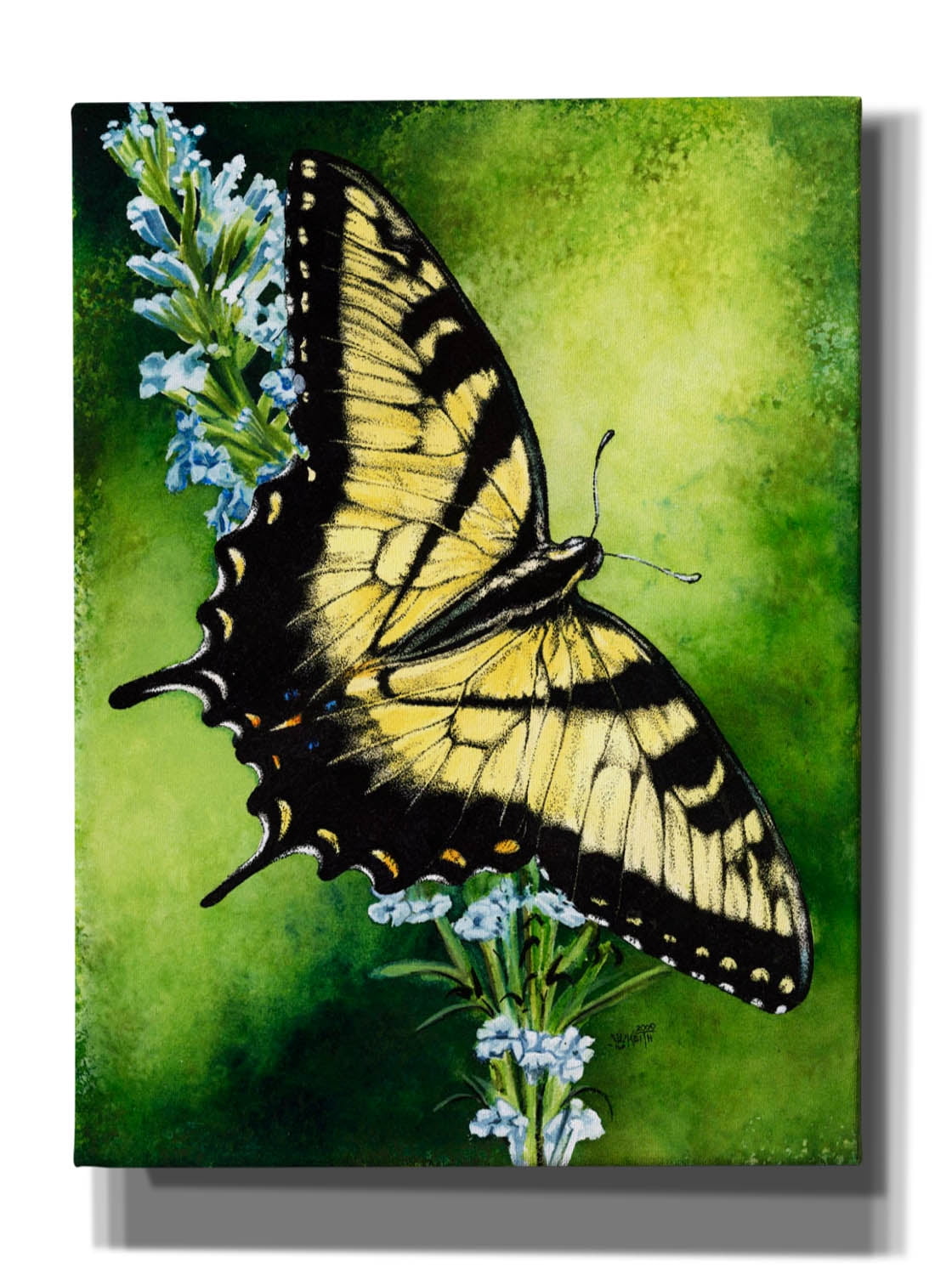 Epic Graffiti 'Fragile Beauty' by Barbara Keith, Canvas Wall Art, 40 ...