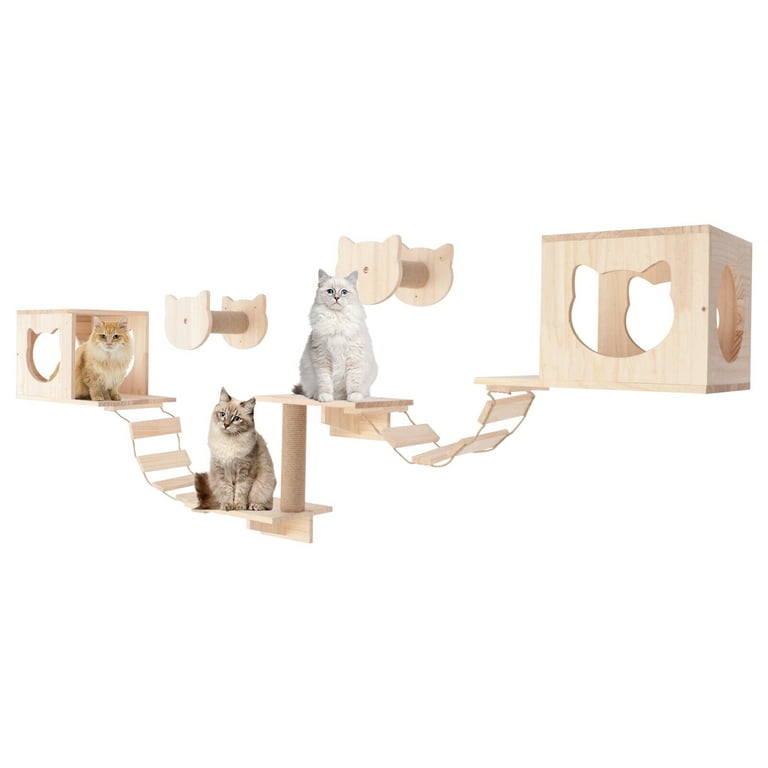 Cat Ladders For The Wall