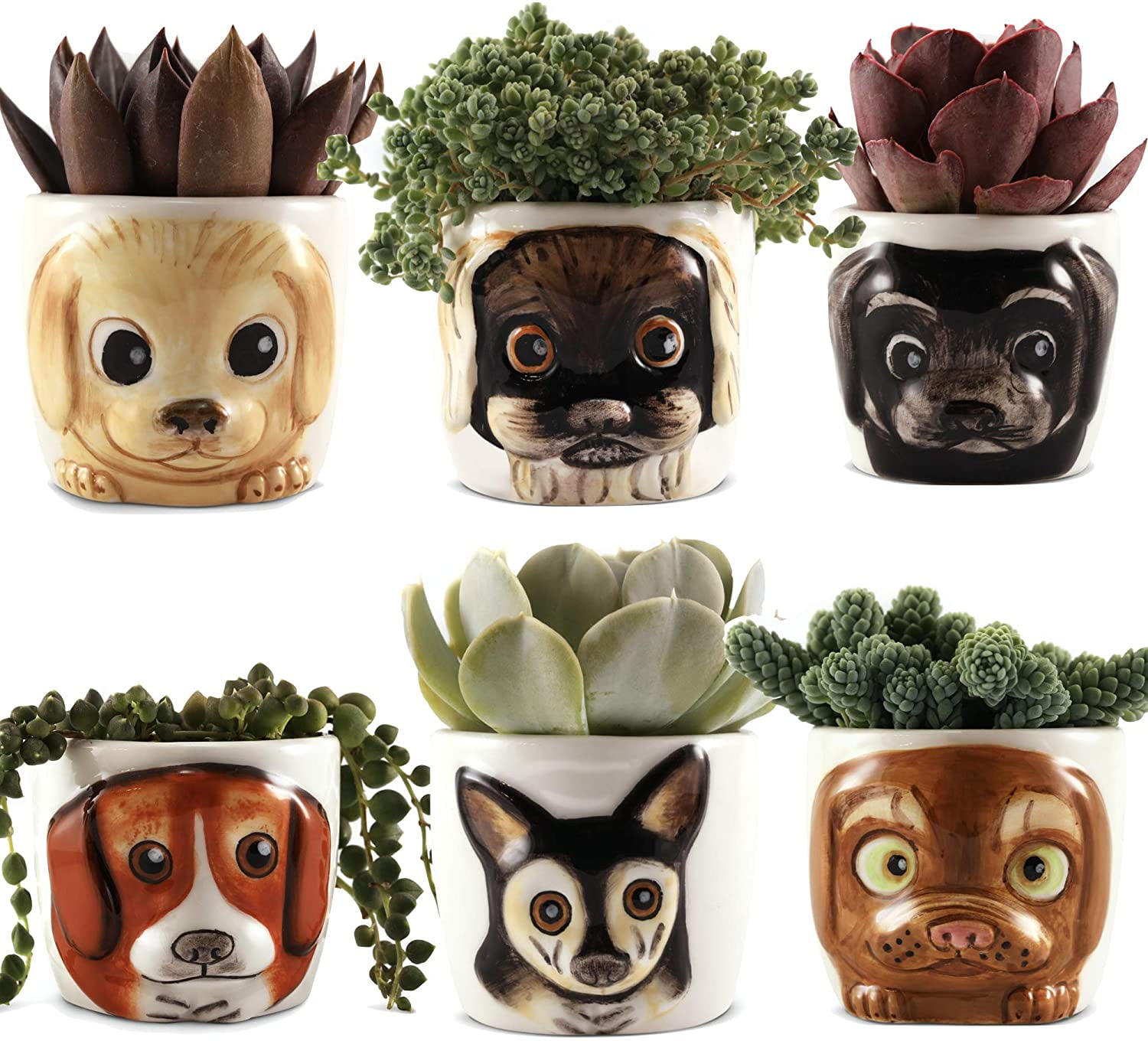 Window Garden Dog Planters Set of 6 - 3D Cute Animal Plant Pot for ...