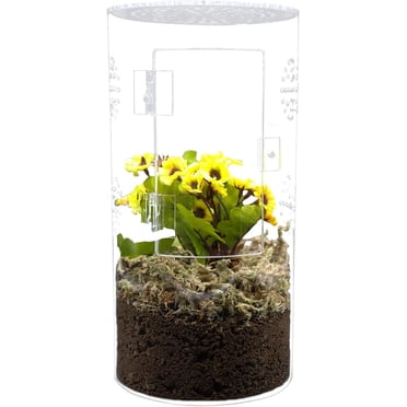 Escape-Resistant Reptile & Insect Habitat - Crystal View Tank with ...