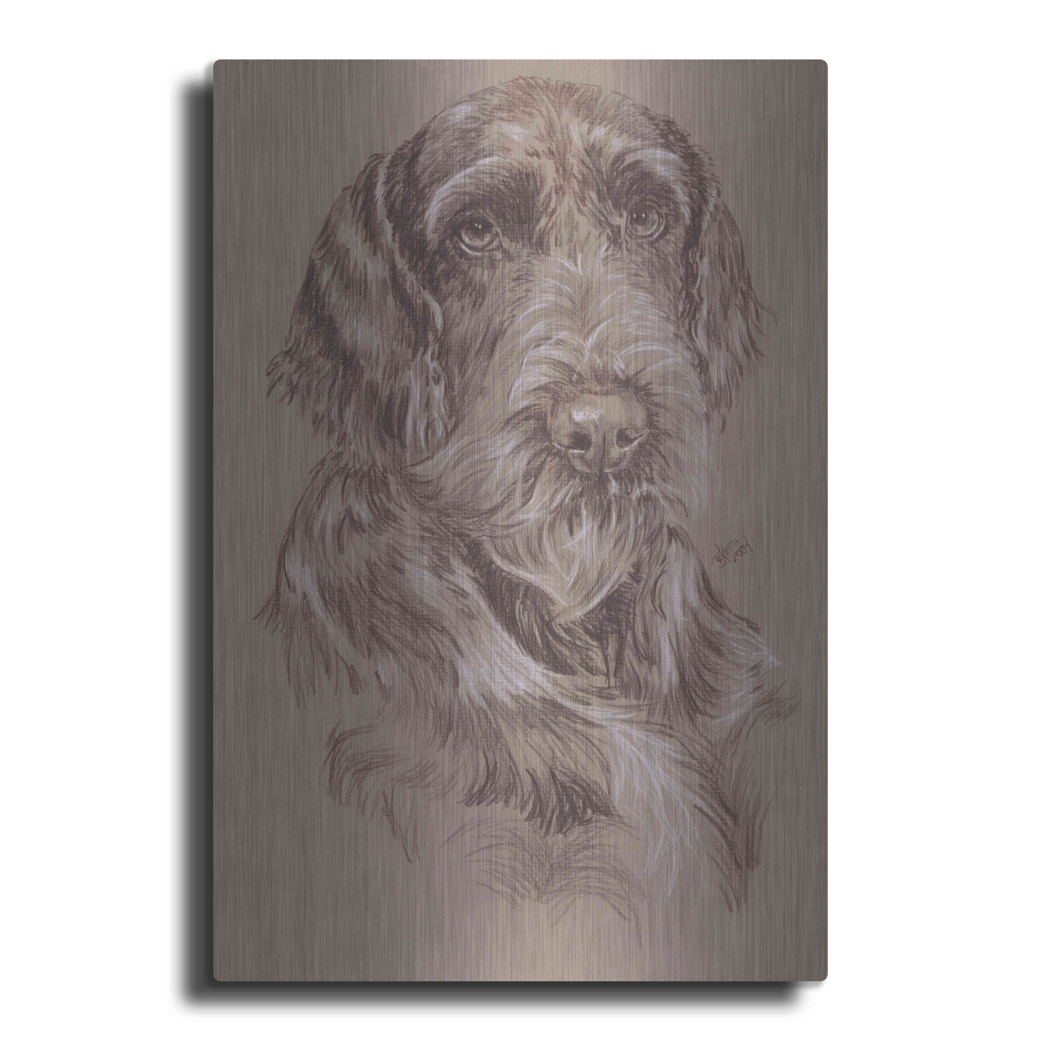 Luxe Metal Art 'German Wirehaired Pointer' by Barbara Keith, Metal Wall ...