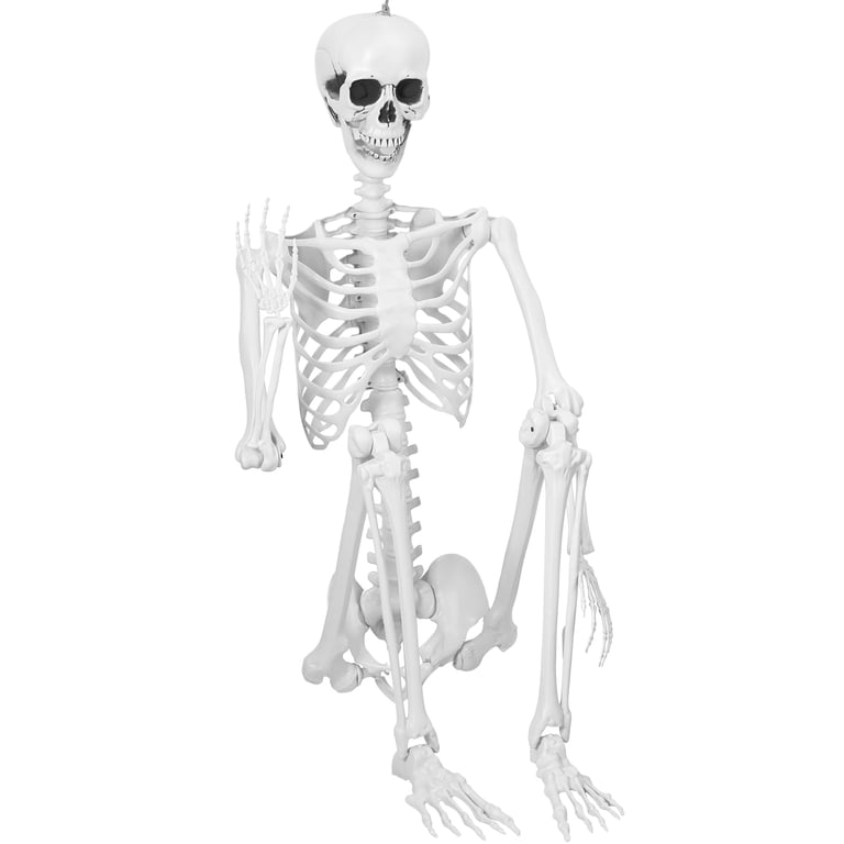 12 Ft 7.9ft Giant Halloween Skeleton - Full Body Poseable Realistic ...