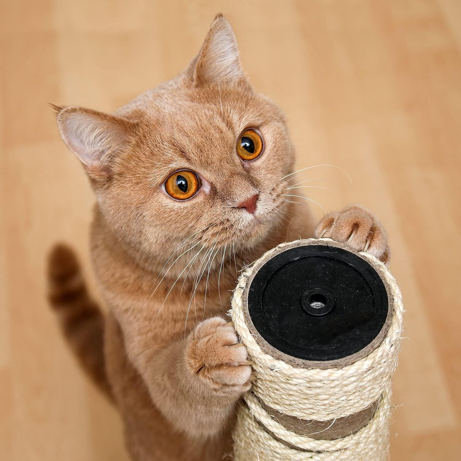 Poste rascador para gatos YONGSHENG con pelota 30 x 30 x 46 cm | Bodega ...
