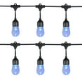 Auto Drive 120V Color Changing LED String Light, 12 Count with Remote ...