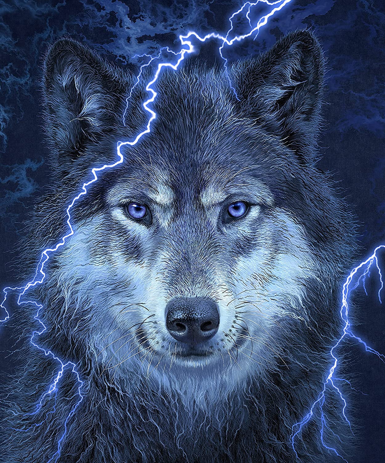 Dawhud Direct Thunder Wolf Super Soft Plush Fleece Throw Blanket ...