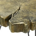 DecMode 19" x 26" Gold Polystone Tree Trunk Accent Table with Black ...