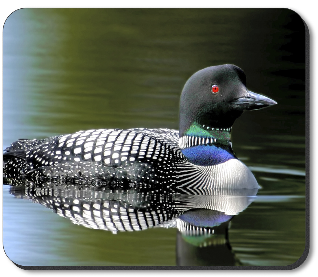 Art Plates Mouse Pad - Loon - Walmart.com