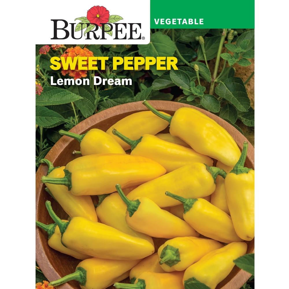 Burpee Lemon Dream Sweet Pepper Vegetable Seed, 1-Pack - Walmart.com