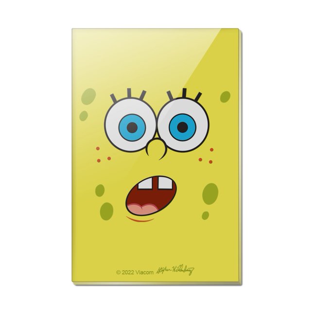 SpongeBob Surprise Face Rectangle Acrylic Fridge Refrigerator Magnet ...