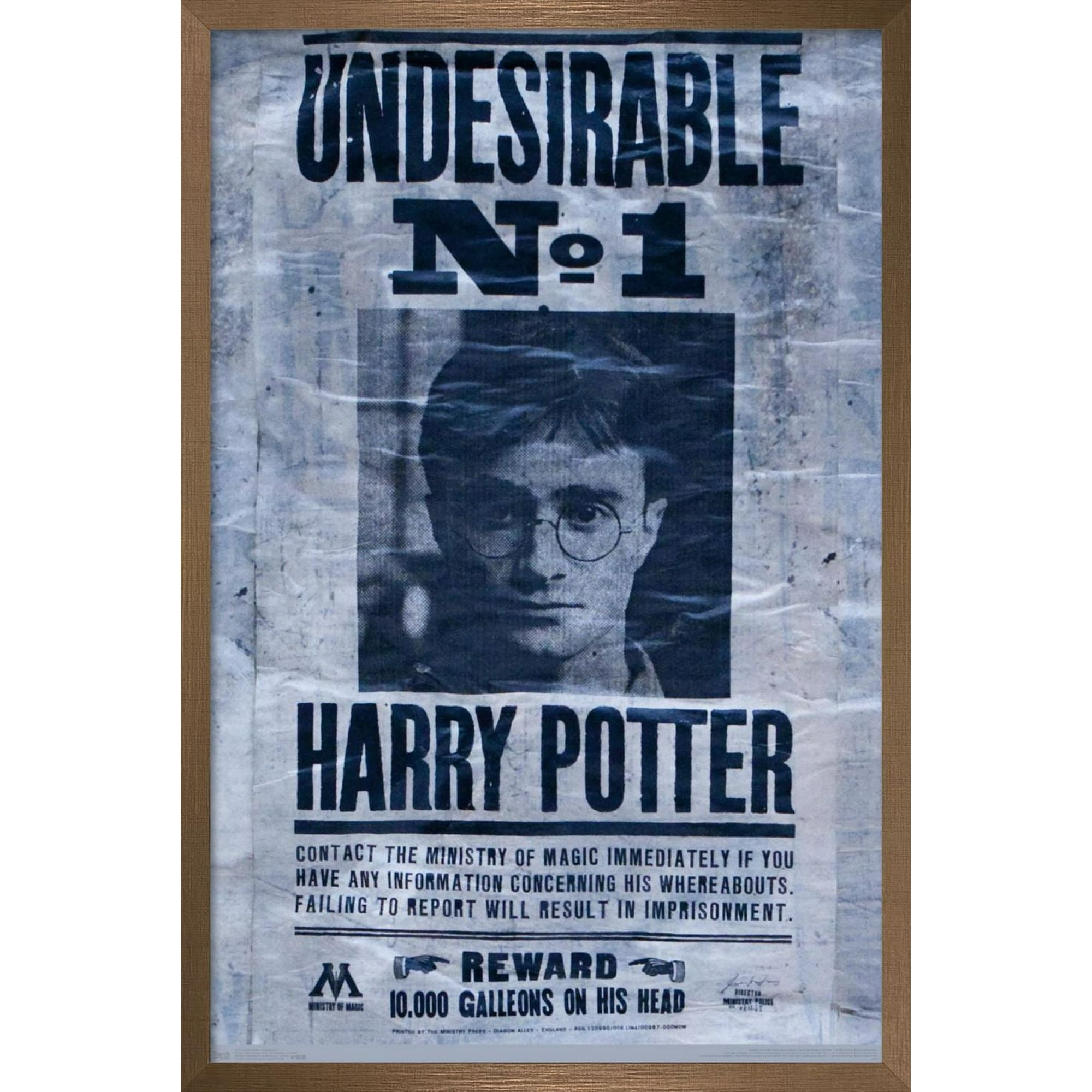 Click here for Trends International The Wizarding World: Harry Po... prices