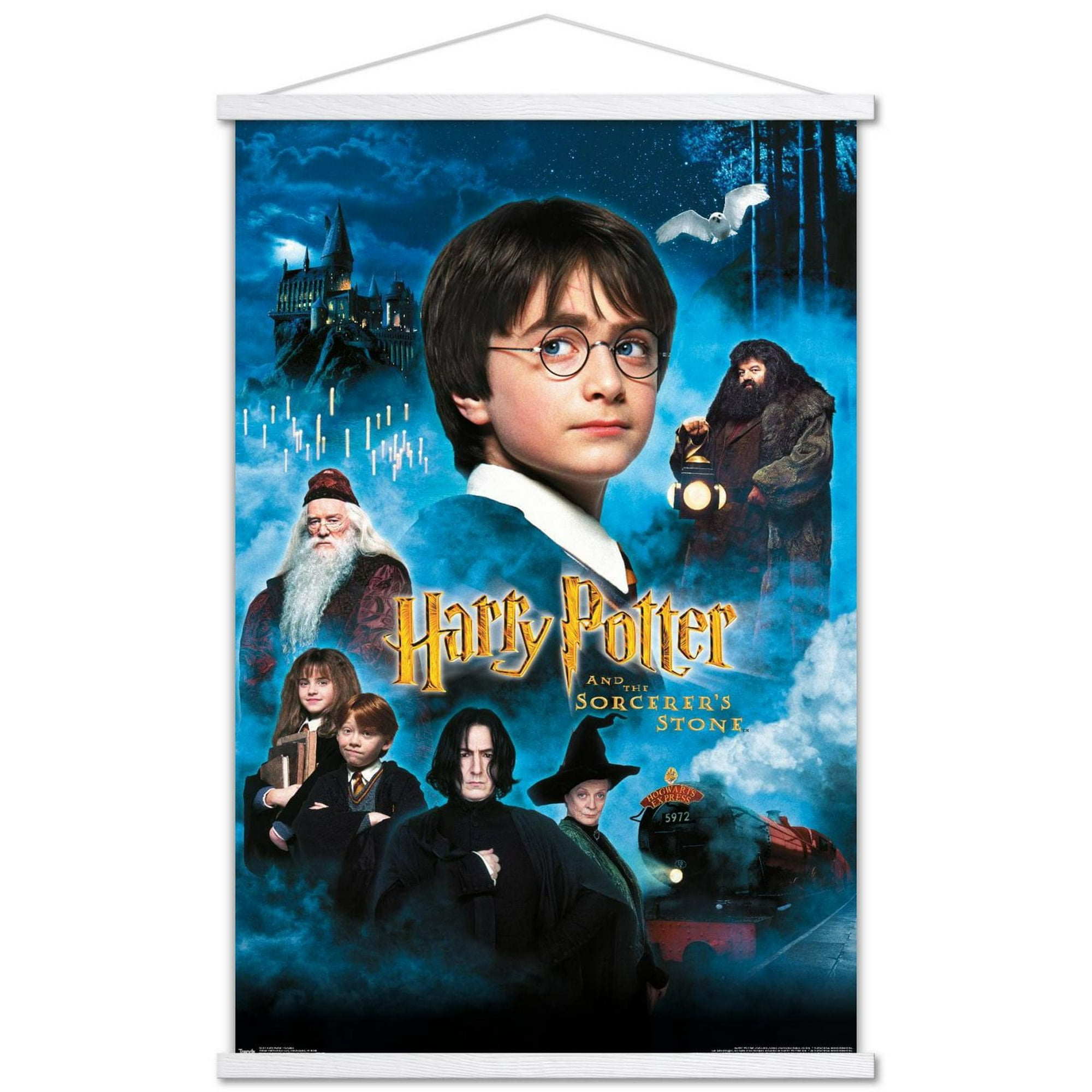 Click here for Trends International Harry Potter And The Sorcerer... prices