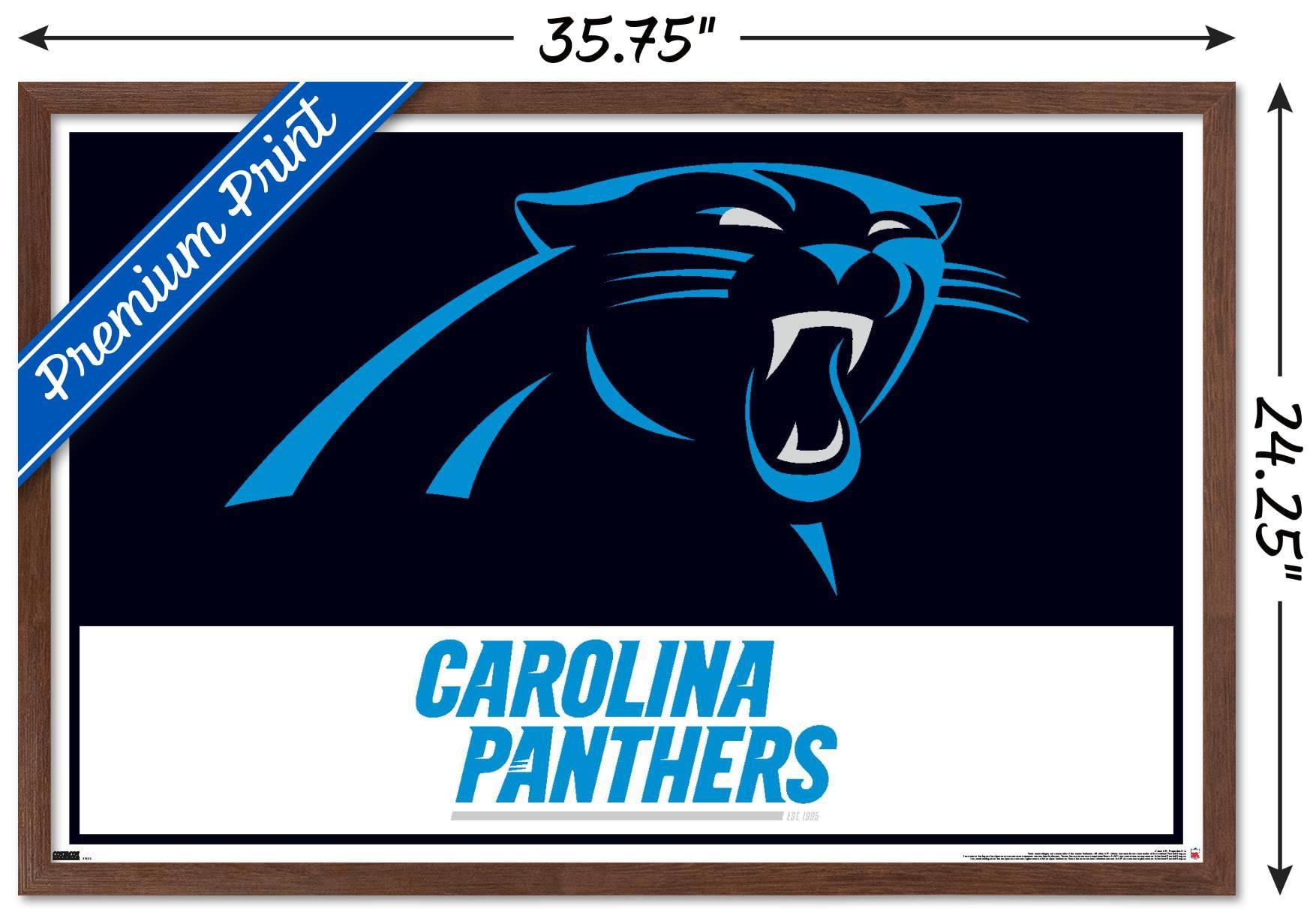 Nfl Panthers Logo