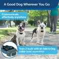 PetSafe 600 Yard Lite Remote Training Collar Smaller Version for Small ...