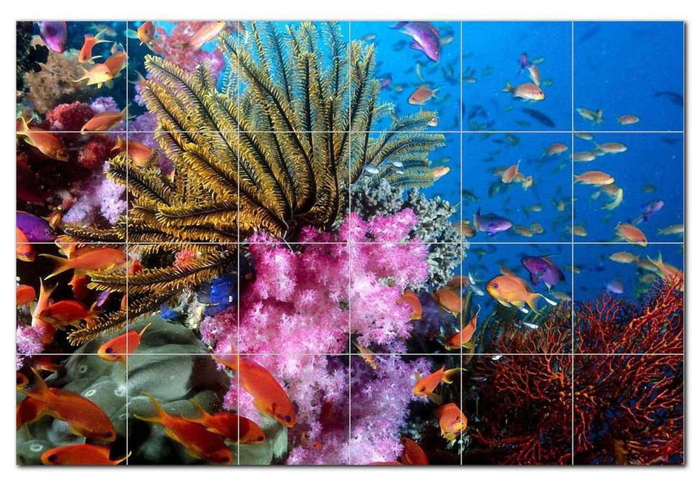 Coral Fish Underwater Ceramic Tile Mural Kitchen Backsplash Bathroom ...