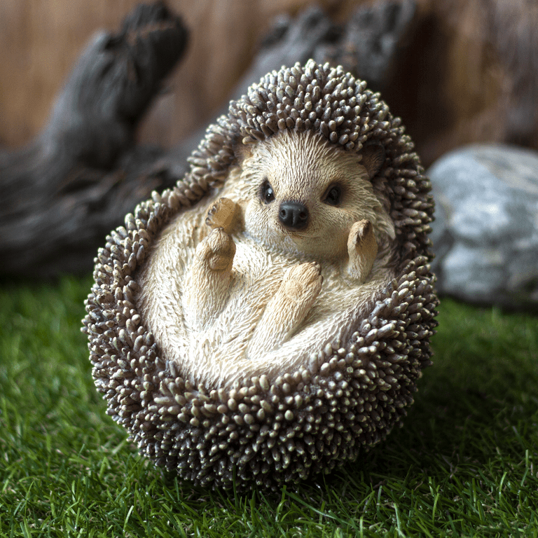 Baby Hedgehogs