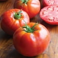 Burpee Big Daddy Hybrid Tomato Vegetable Seed, 1-Pack - Walmart.com Burpee Big Daddy Hybrid Tomato Vegetable Seed, 1-Pack - Walmart.com