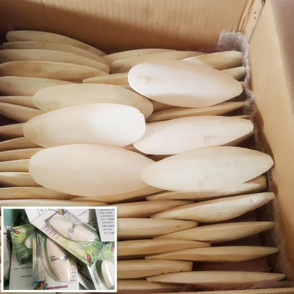 Buy Fovolat 10pcs Cuttlebone for Birds|Parrot Chewing Cuttle Bone for ...