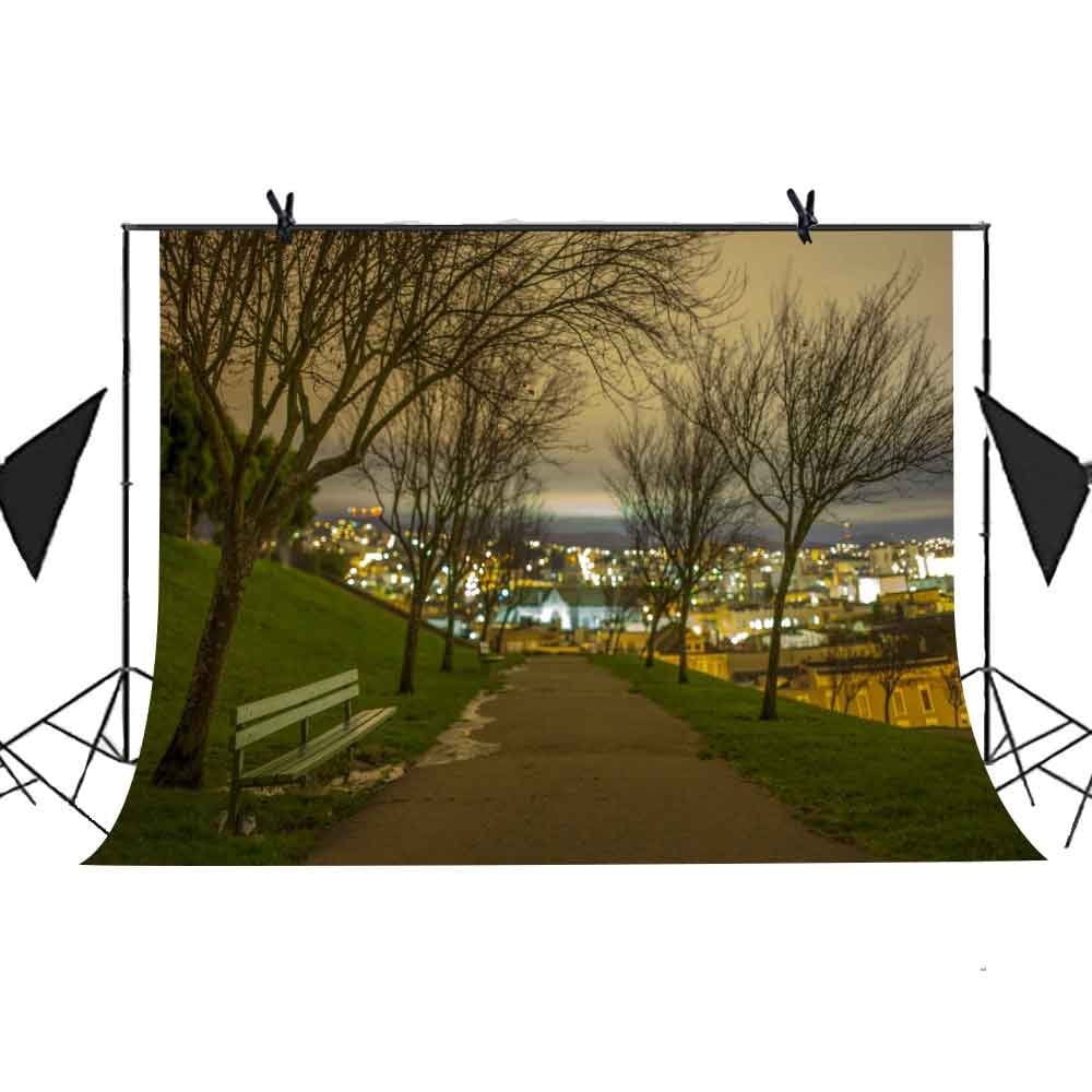 MOHome 7x5ft Park Landscape Backdrop Bench Lawn Tree Path City Lights ...