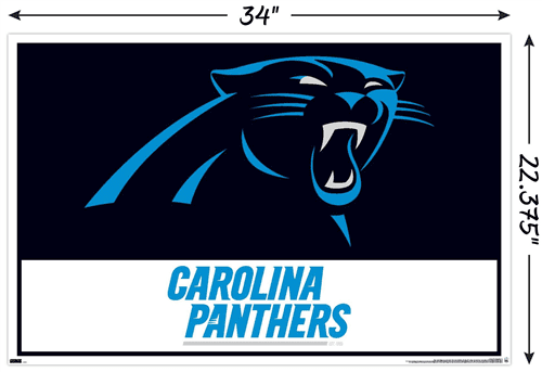 Panthers Logo Png