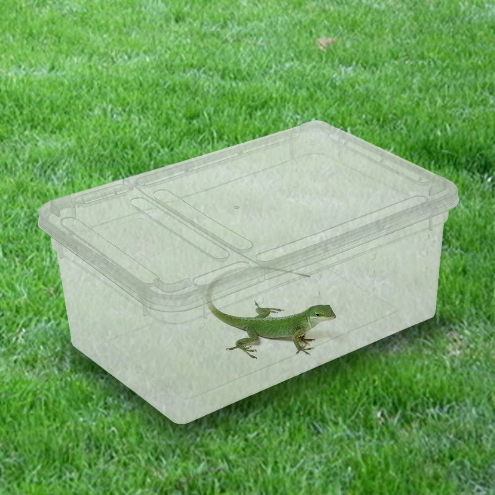 Manunclaims Reptile Small Snake Feeding Box Lizard Tarantula Habitat ...