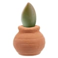 WHAMVOX 8 PCS Flower Pot Mini Pots for Plants Clay Tiny Terracotta ...
