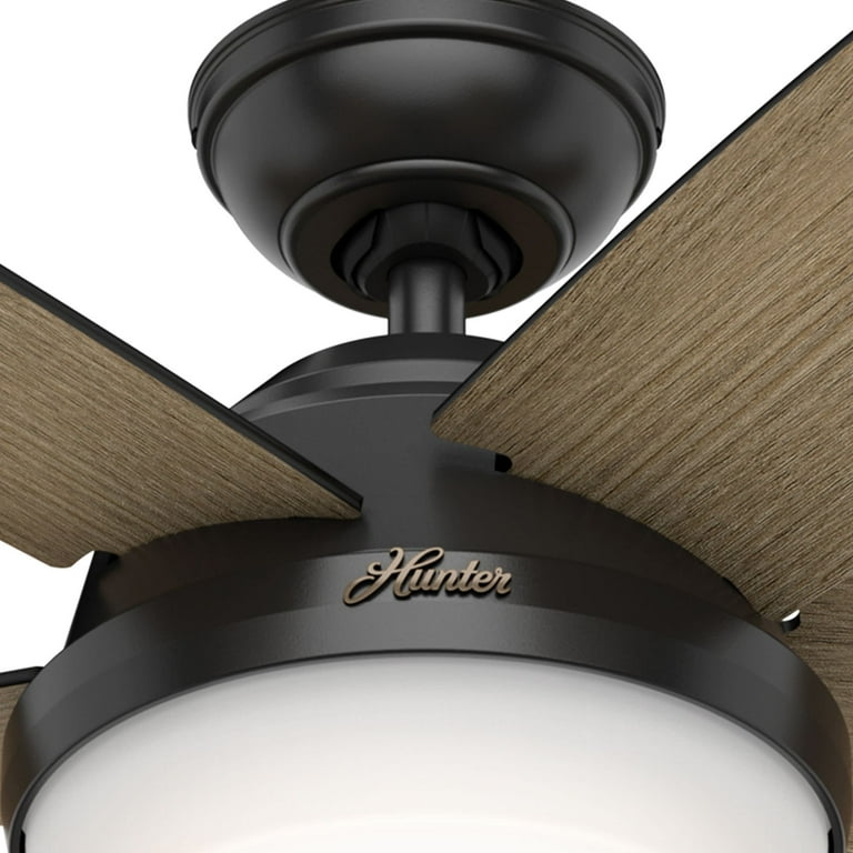 Hunter Avia Ceiling Fan Manual | Shelly Lighting