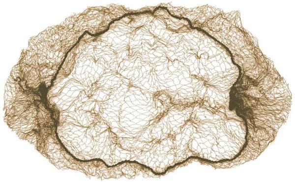 Popular Life Magic Net Durable and Invisible Hair Nets, Fits Youth and ...