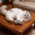 Wind Up Walking Mouse Toy - Realistic Plush Animated Mouse for Cats ...