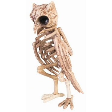 Rotten Skeleton Torso - Walmart.com