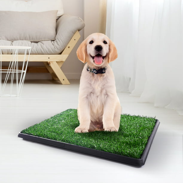 Vivifying Puppy Dog Potty Training Pee Dog Toilet Grass Pad Mat Turf ...