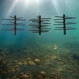 MossBack Fish Habitat Dock Pro Kit, Fish Habitat Structure for Lakes ...