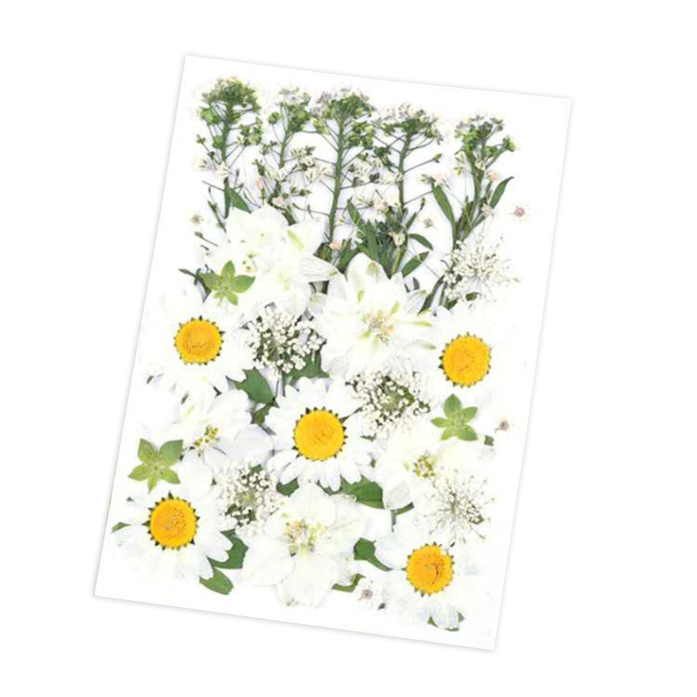 Dried Pressed Flowers Combination for Resin Art Craft DIY Vacuum-Packed ...