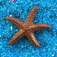 Farfi Simulation Starfish Lifelike Realistic Plastic Cute Artificial ...