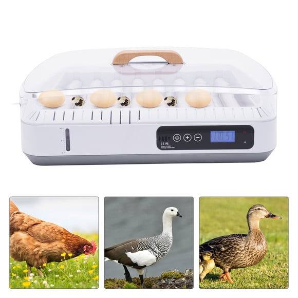 Humidity Incubator Chicken Eggs
